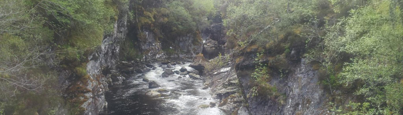 dog-falls-banner – Cannich Hall